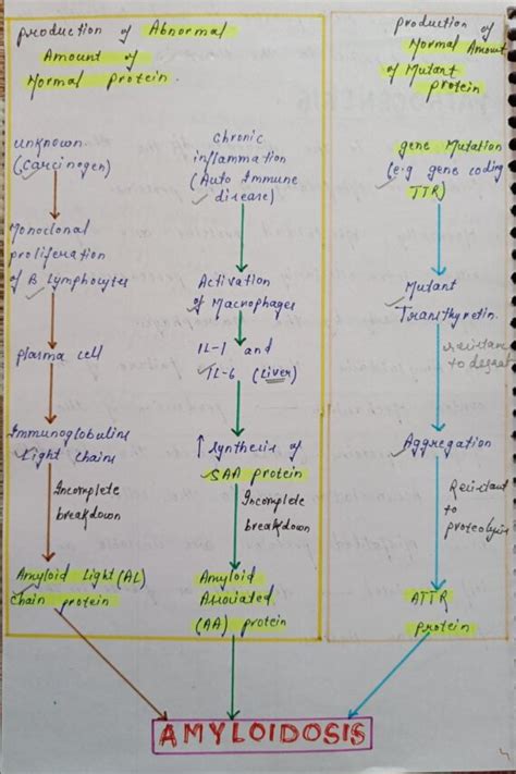 Biologically Important Amino Acids Notes PDF Best Handwritten Notes