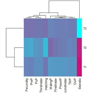 Heatmap Dendrogram To Visualize The Result Of A Hierarchical Clustering
