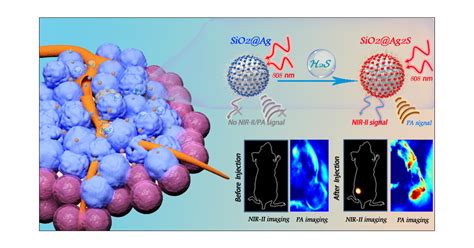 A H2s Triggered Dual Modal Second Near Infraredphotoacoustic