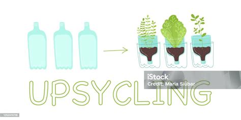 플라스틱 병으로 만든 냄비에 녹색 식물 제로 폐기물 업 사이클링 활용의 재사용 포팅 생성 수직 원예 개념 흰색 배경에 격리된
