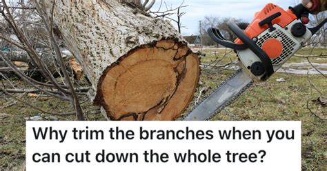 Woman Tried To Trick Neighbors Into Trimming Their Tree So They Ended Up Cutting The Whole Tree