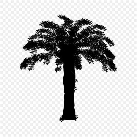 الصيف شجرة النخيل صورة ظلية سوداء شجرة النخيل أسود اسود و ابيض Png وملف Psd للتحميل مجانا