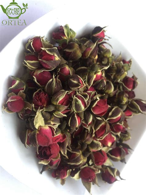 Phnom Penh Rose