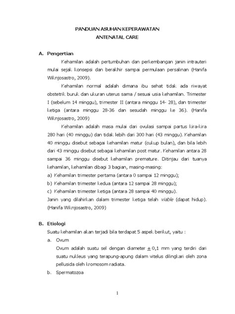 Lp Antenatal Care Dpr Pdf