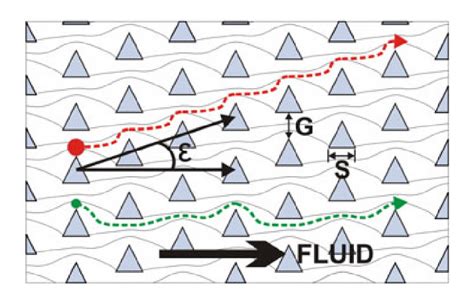 Scheme Of The Deterministic Lateral Displacement Method Reprinted