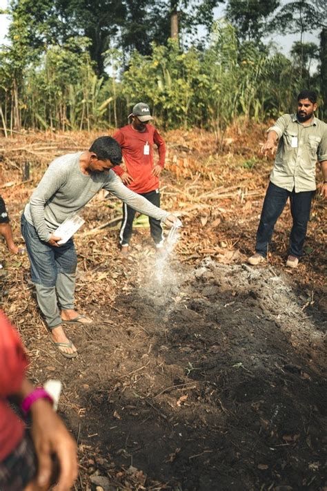 What Is Forest Restoration