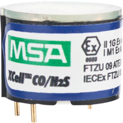 CO H2S Sensor Gas Detector Rainbow Technology