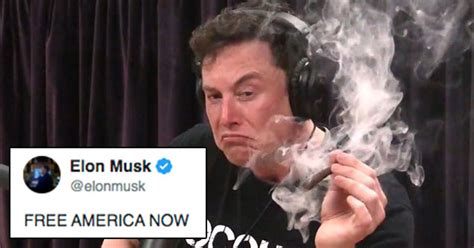Elon Musk Is No Longer The King Of Nerds Ebaums World