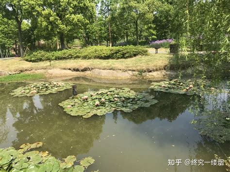 沙家浜游记 知乎