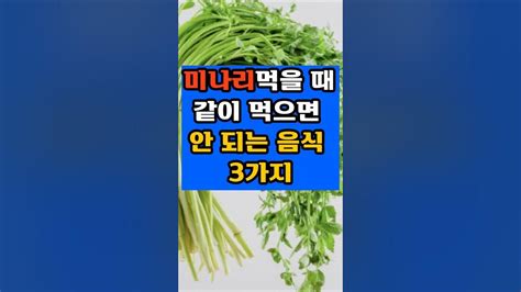미나리먹을 때 같이 먹으면 안 되는 음식 3가지50대건강식이요법당뇨염증상추마늘위염60대70대음식건강식비타민 Youtube