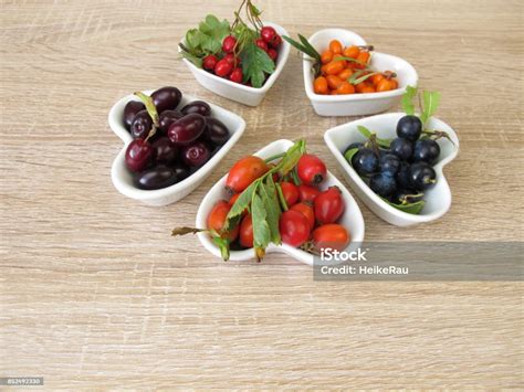 홍 체리 바다 갈 매 나무속 과일 장미 엉덩이 Sloes 과일 및 호손 과일이 에서 야생 과일 0명에 대한 스톡 사진 및 기타
