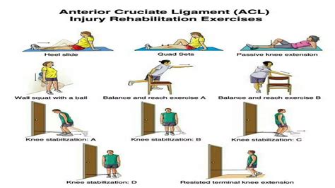 Knee Ligament Injuriespptx