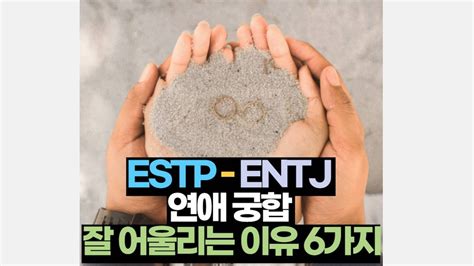 Estp Entj 어울리는 이유 6가지 엣팁 엔티제 연애 2025