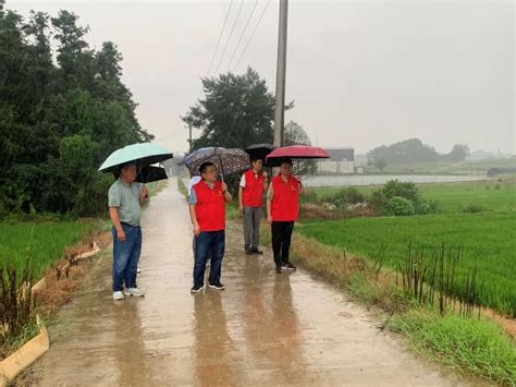 江苏省农业农村厅 土壤肥料 多措并举提升地力 夯实粮食生产基础——南京市耕保站开展“我帮农民建良田”实践活动