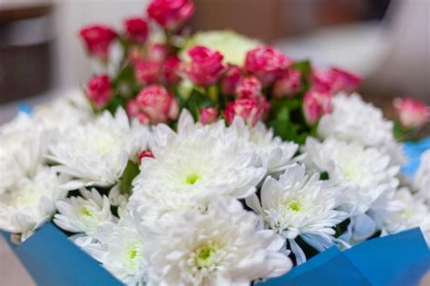 Premium Photo Trial Beautiful Photos