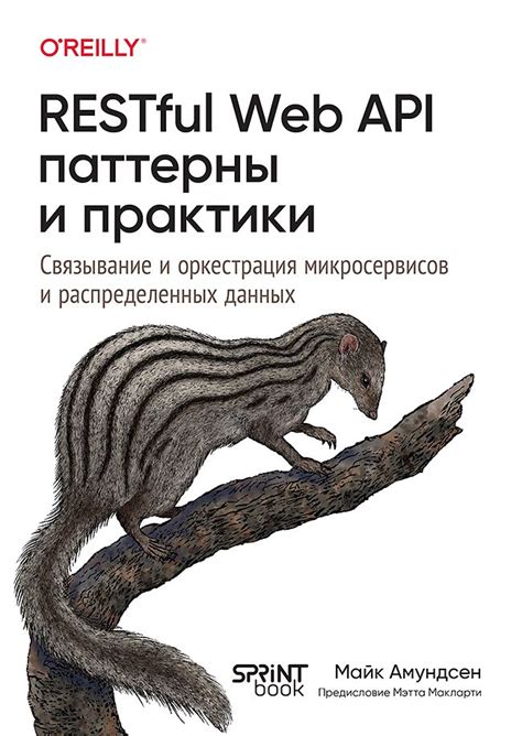 Restful Web Api паттерны и практики Майк Амундсен 📖 купить книгу по