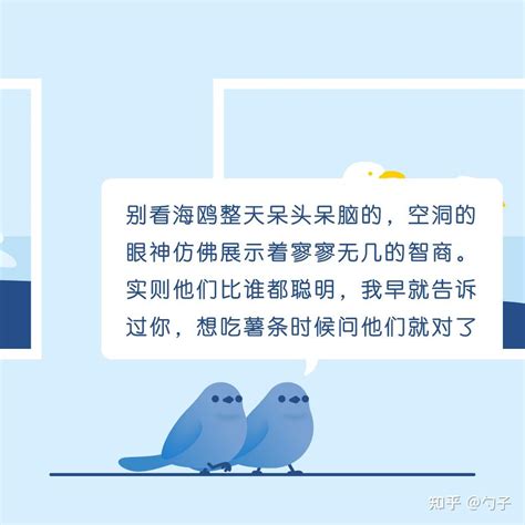 记得去码头整点薯条 知乎