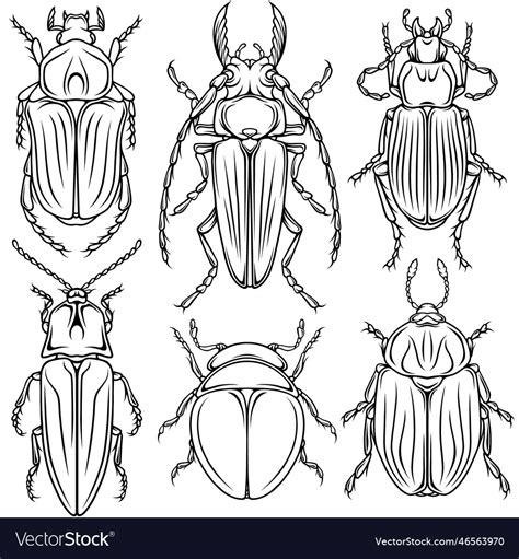 Stylized Contour Set Of Bugs Royalty Free Vector Image