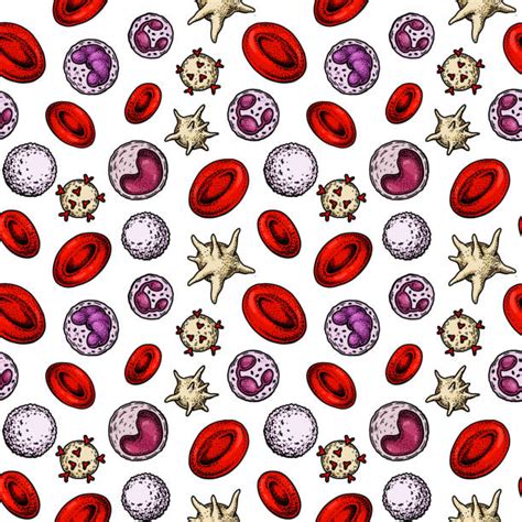 130 Platelet Drawing Stock Illustrations Royalty Free Vector Graphics