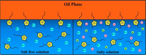 Salting Out Effect And Decreasing Electrostatic Repulsion Between Sail
