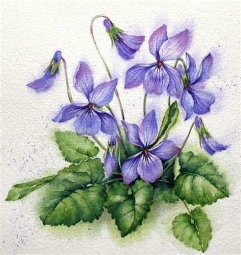 Пин от пользователя Annie на доске Violets в 2024 г Цветочные рисунки