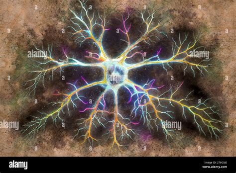 Neurons Highly Detailed Brain Cells Neural Network 3d Illustration In