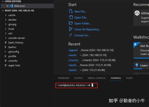 Linux 普通用户su无法切换到root 知乎