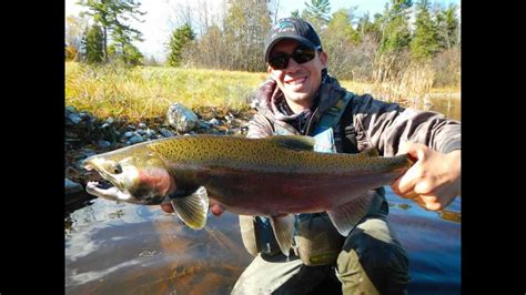 Upper Peninsula Fly Fishing Coho Salmon 2012 Youtube