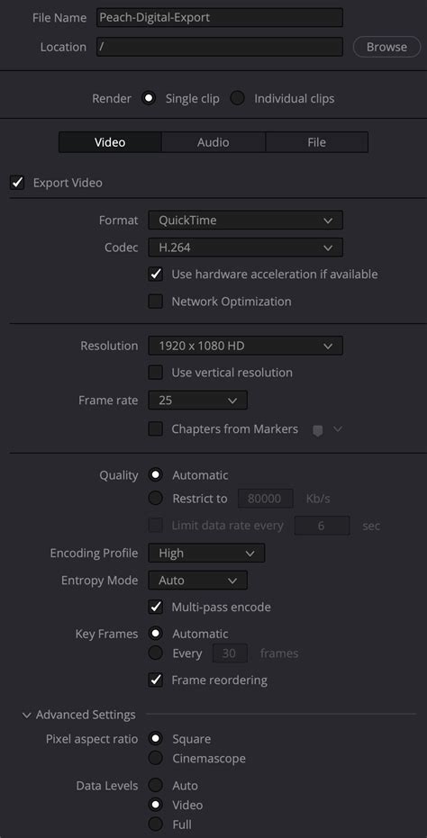 Digital Export Guide Davinci Resolve 18 Peach Connect ヘルプ
