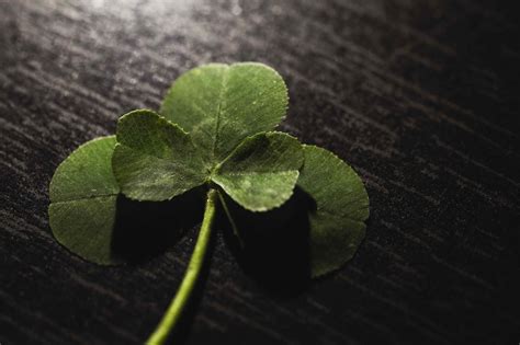 20 Songs About Luck