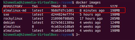 Run Almalinux Or Rocky Linux 8 Docker Container With Systemd Systemctl