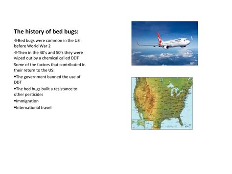 Bed Bugs PPT