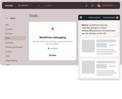 Kinsta® Snelle Veilige Wordpress Hosting Boordevol Features
