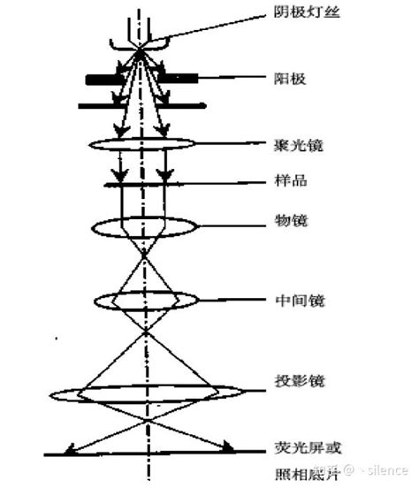 什么是tem测试？ 知乎