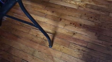 Kitty Person Technically Part Three Youtube