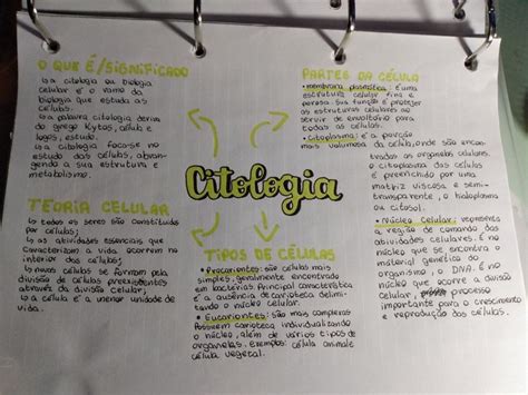Biologia Citologia Mapa Mental Bullet Journal Mental Map Study Tips