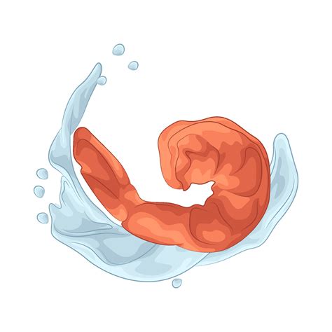 Raw Headless Shrimp Illustration 49619673 Vector Art At Vecteezy