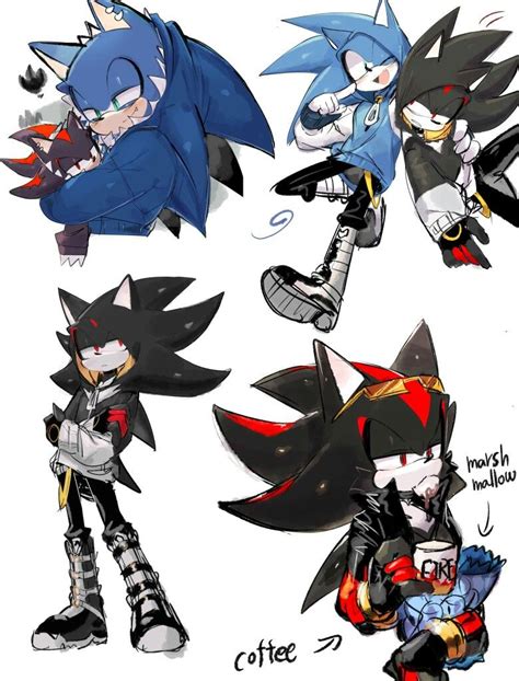 Sonic The Hedgehog Shadow The Hedgehog And Black Cat From Sonic The