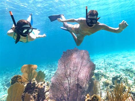 Which Beach Is The Best For Snorkeling At Atlantis Resort