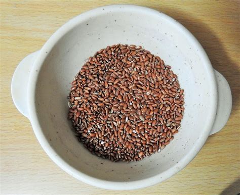 赤米のご飯 スローライフ櫛川