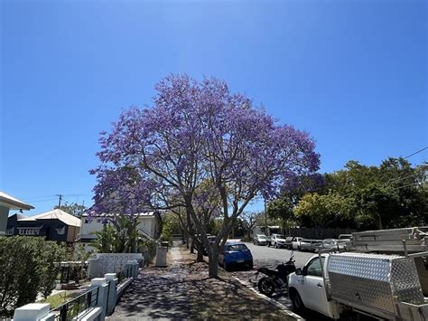 Ikufumi Mitsuyu Flickr