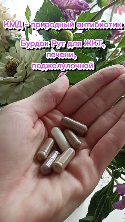 Очищение организма Youtube