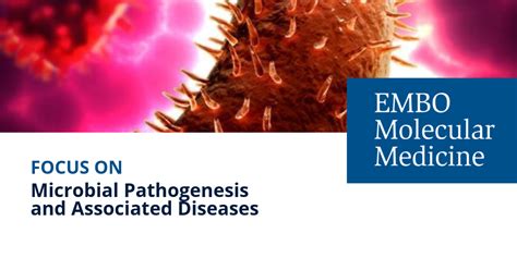 Microbial Pathogenesis 2019 Embo Press