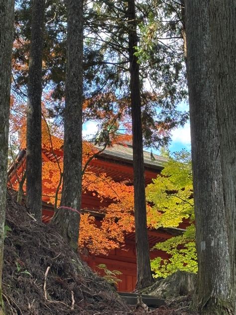 Bar Giass Bar Giass Added A New Photo