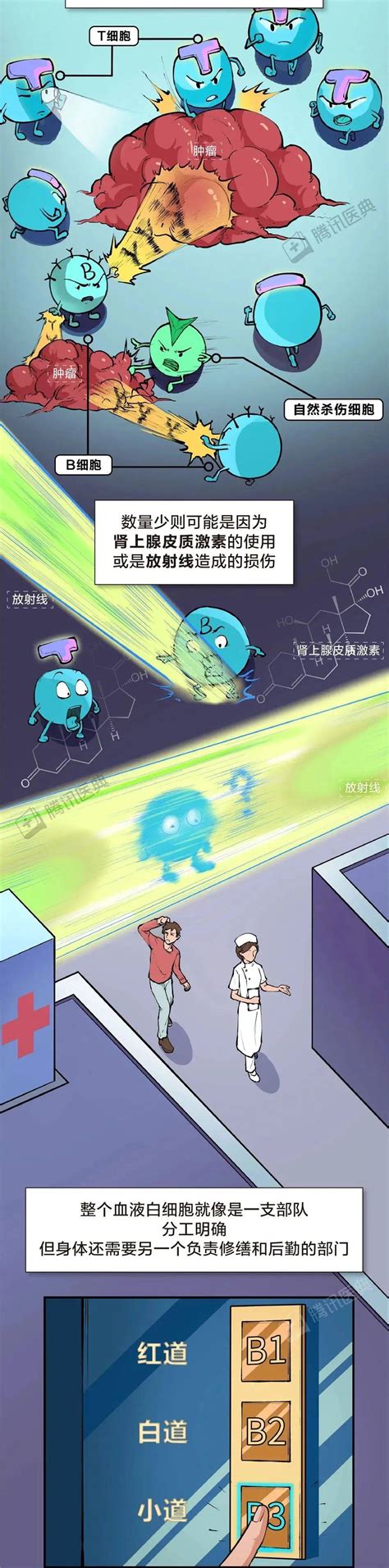 一张图让你读懂血常规报告单（超全！赶紧收藏！）葛均波科普卢雪峰