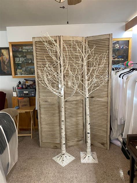 Birch Trees Unlit Rigby Wedding Rentals