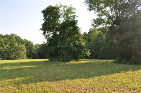 Elijah Hendricks Cemetery In Irvine Kentucky Find A Grave Cemetery