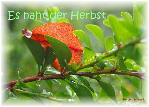 Es Naht Der Herbst Natur In Bild Und Wort