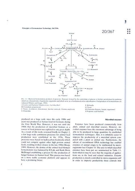 Solution Introduction To Fermentation Processes Studypool