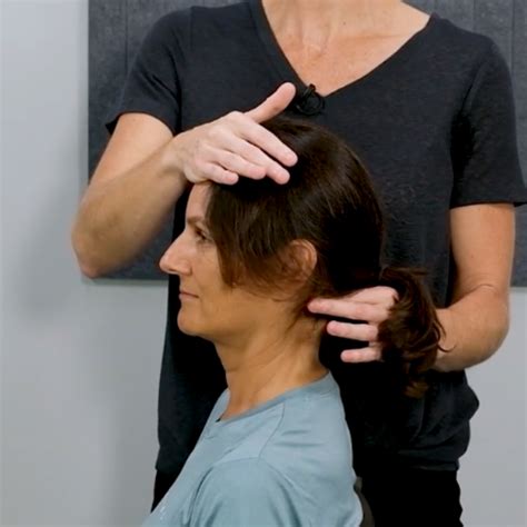 Vestibular Rehabilitation Therapy Vrt 7 Hrs Niel Asher Education